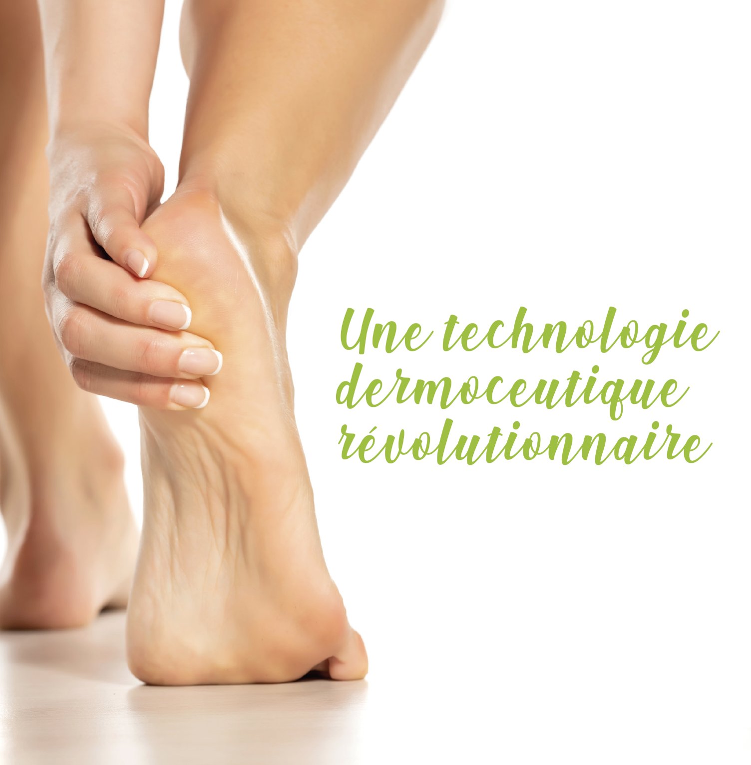 Présentation Calluspeeling Vegetal